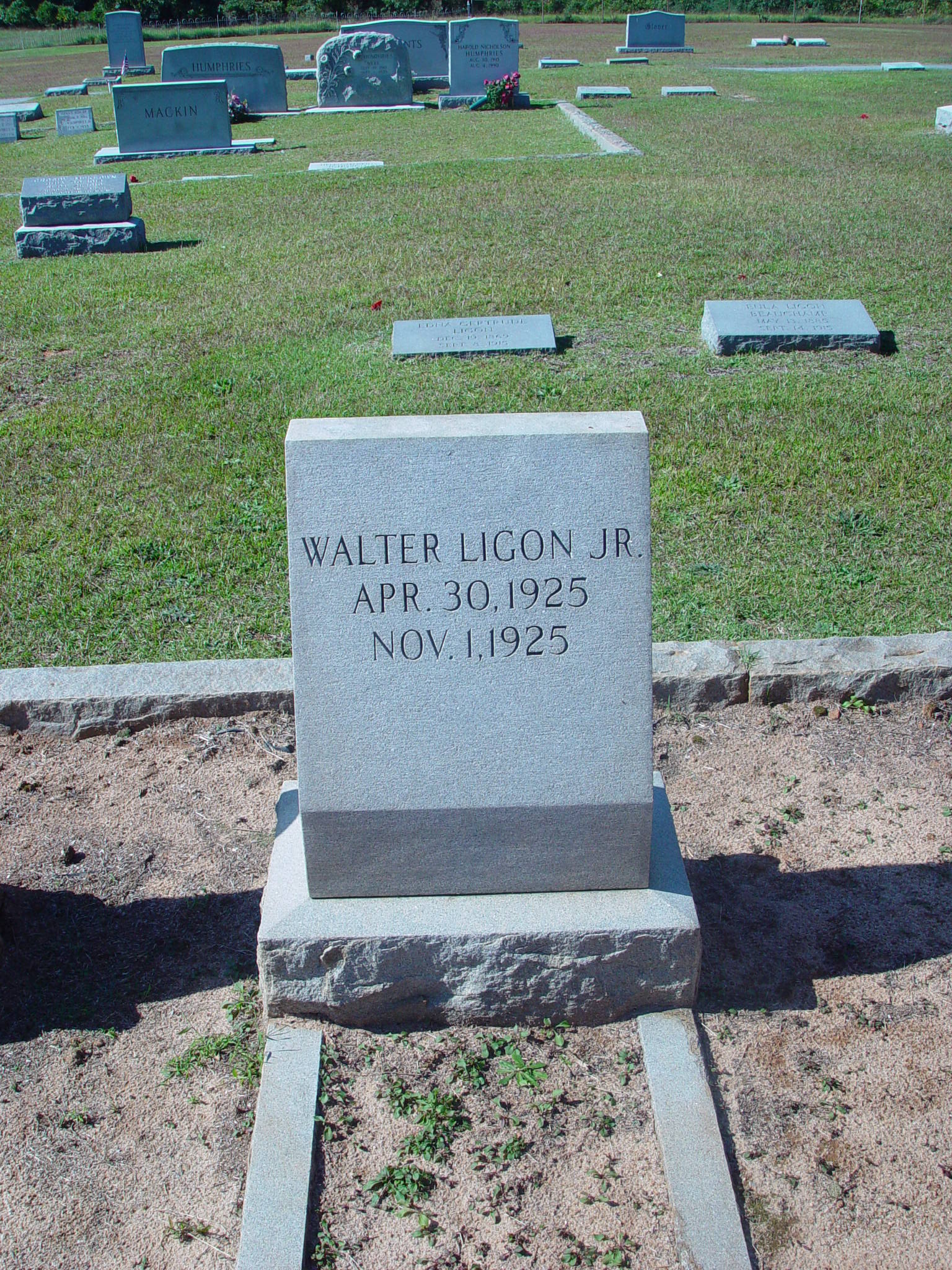 FCGS Ligon Cemeteries