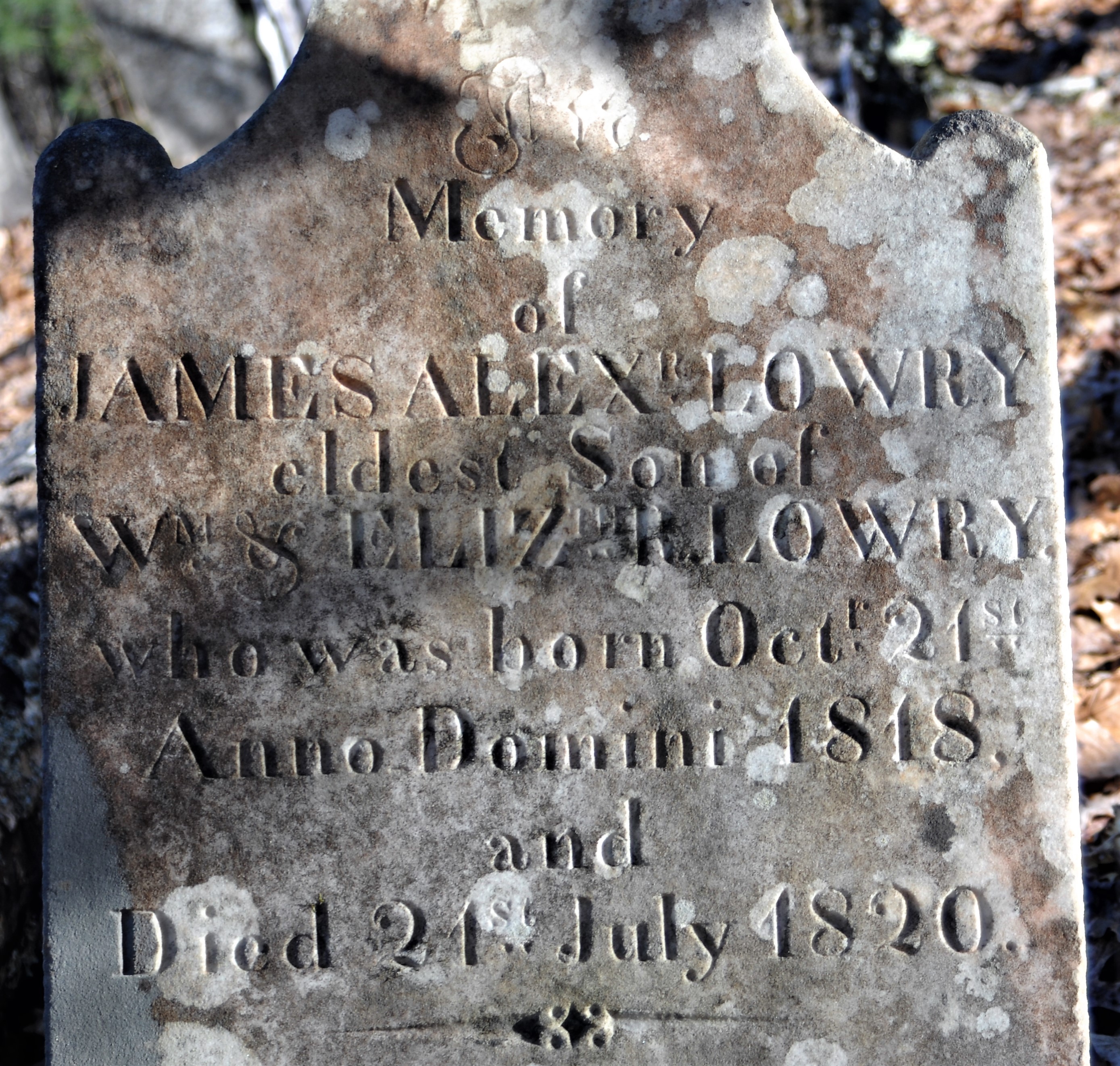 FCGS Lowry Cemeteries