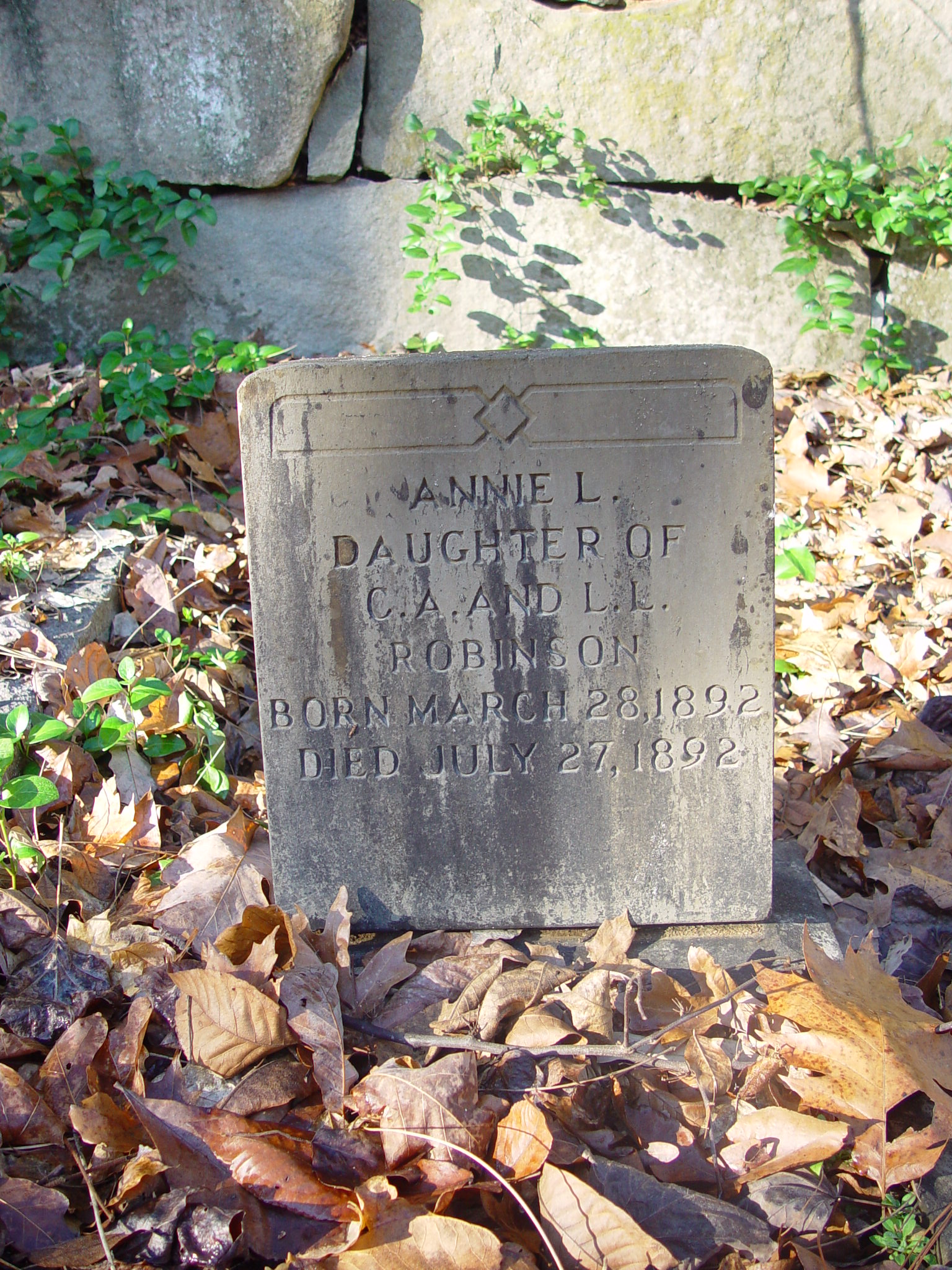 FCGS Robinson Cemeteries