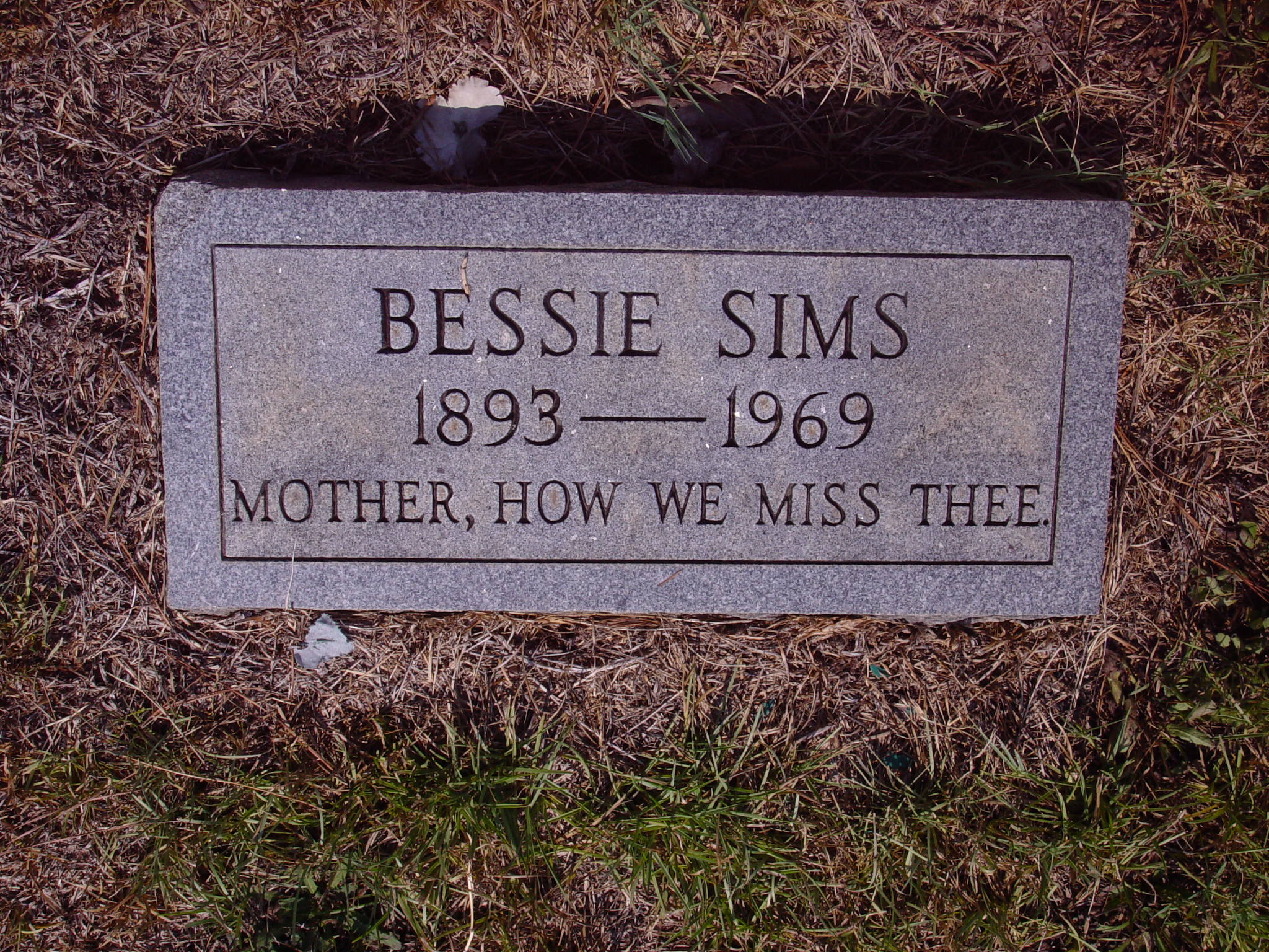 FCGS Simms-Sims Cemeteries