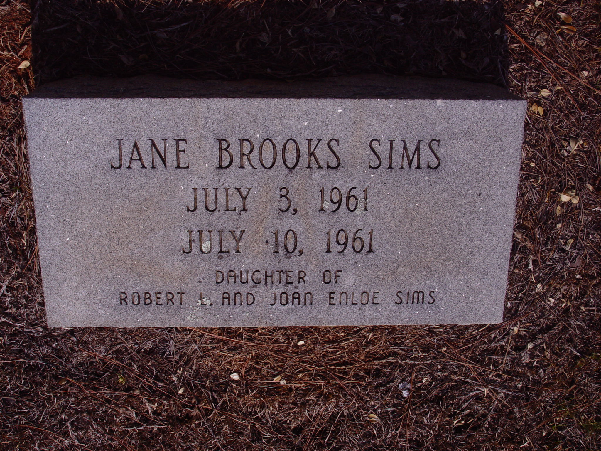 FCGS Simms-Sims Cemeteries
