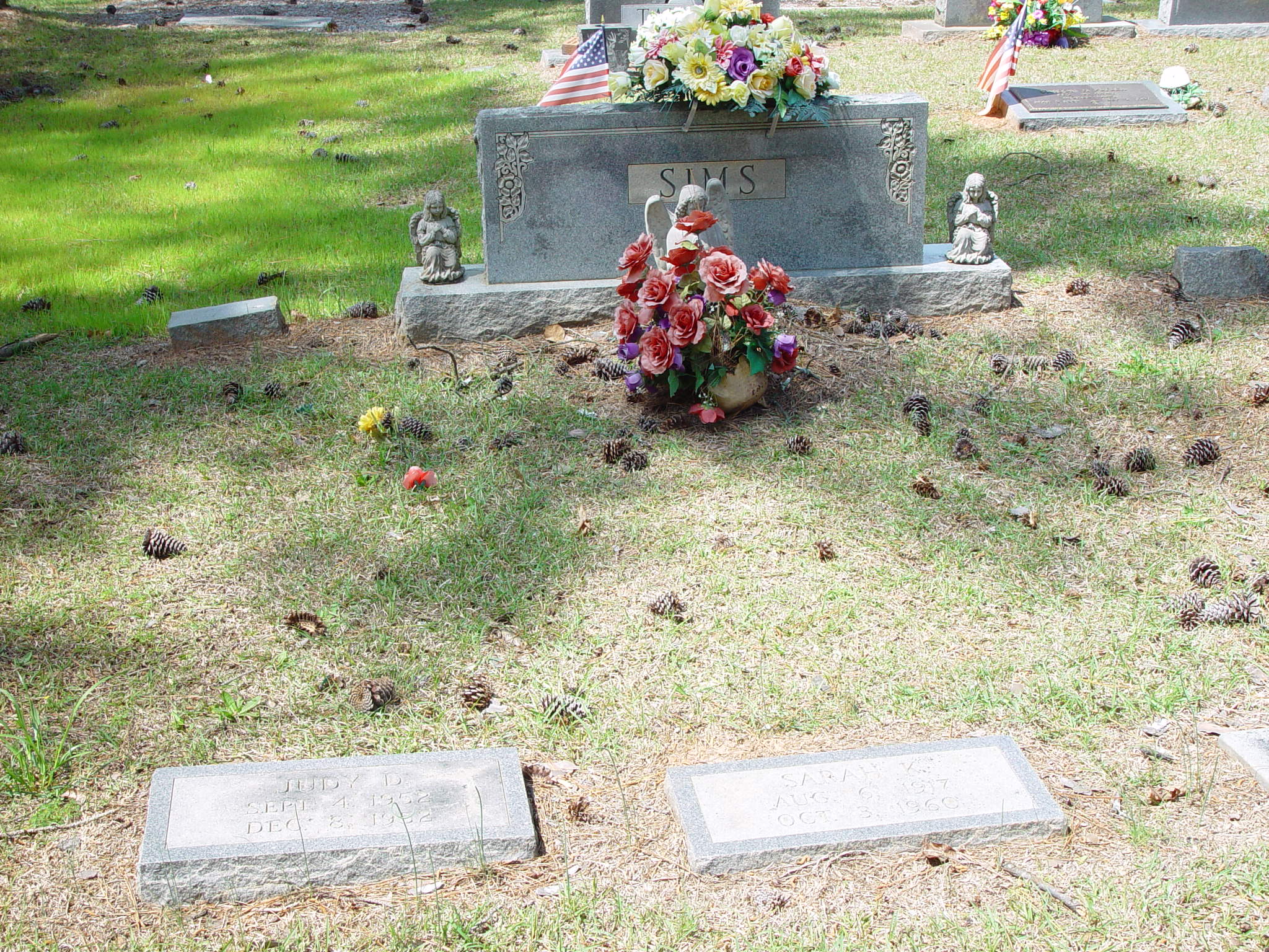 FCGS Simms-Sims Cemeteries