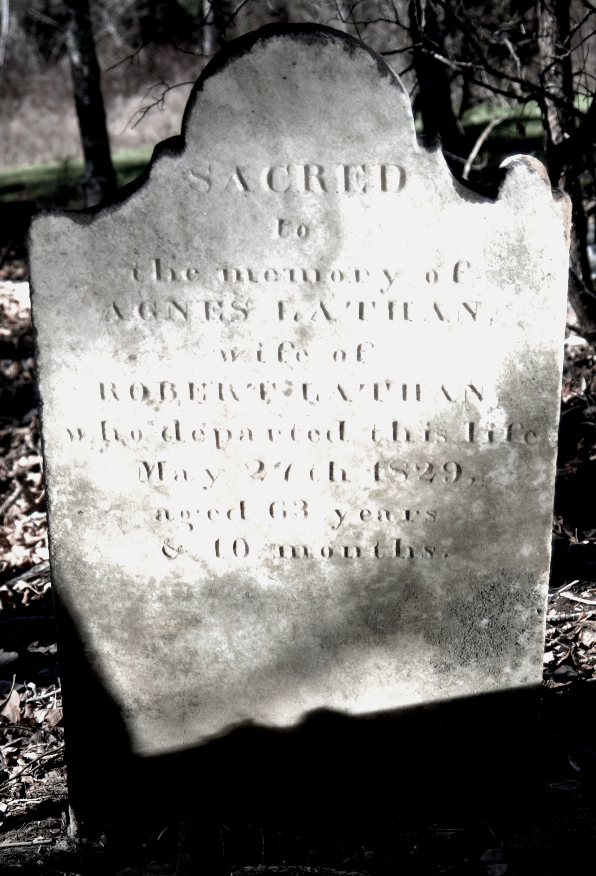FCGS Lathan Cemeteries